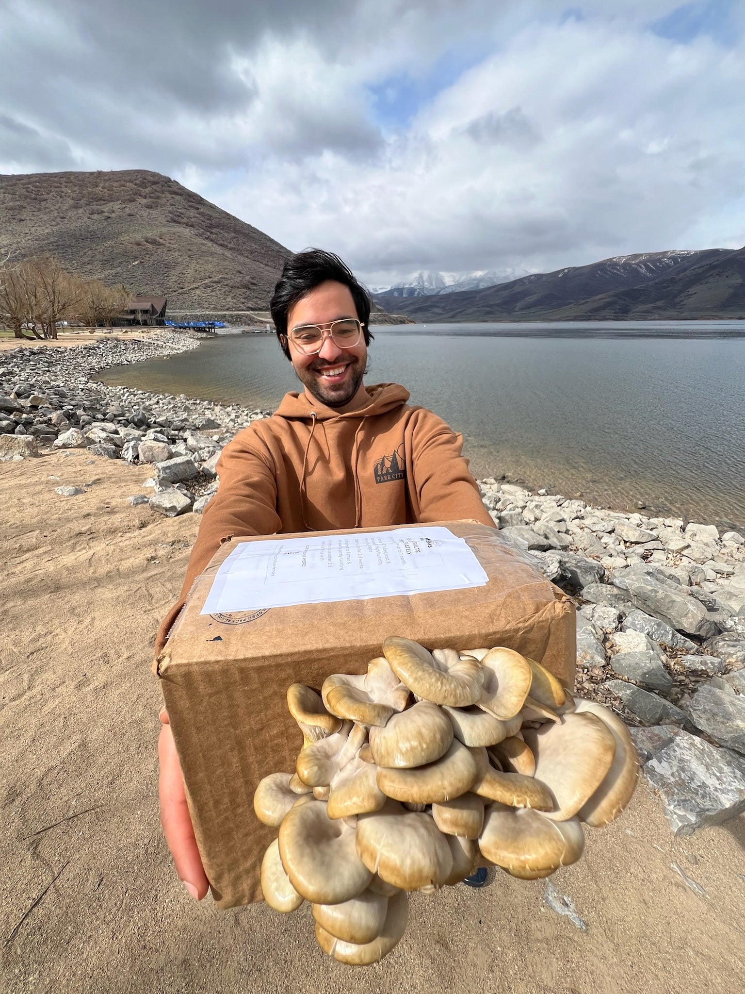 Blue Oyster Mushroom Kit – Mega Mushrooms